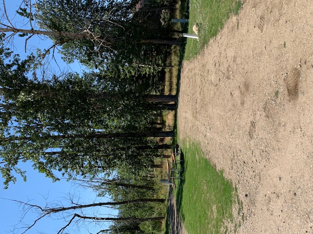 Red Lodge, Montana RV Camping Sites | Red Lodge KOA Journey