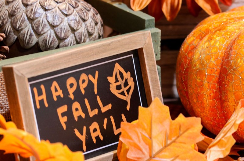 Fall in Santa Cruz County: Event at the Santa Cruz / Monterey Bay KOA ...