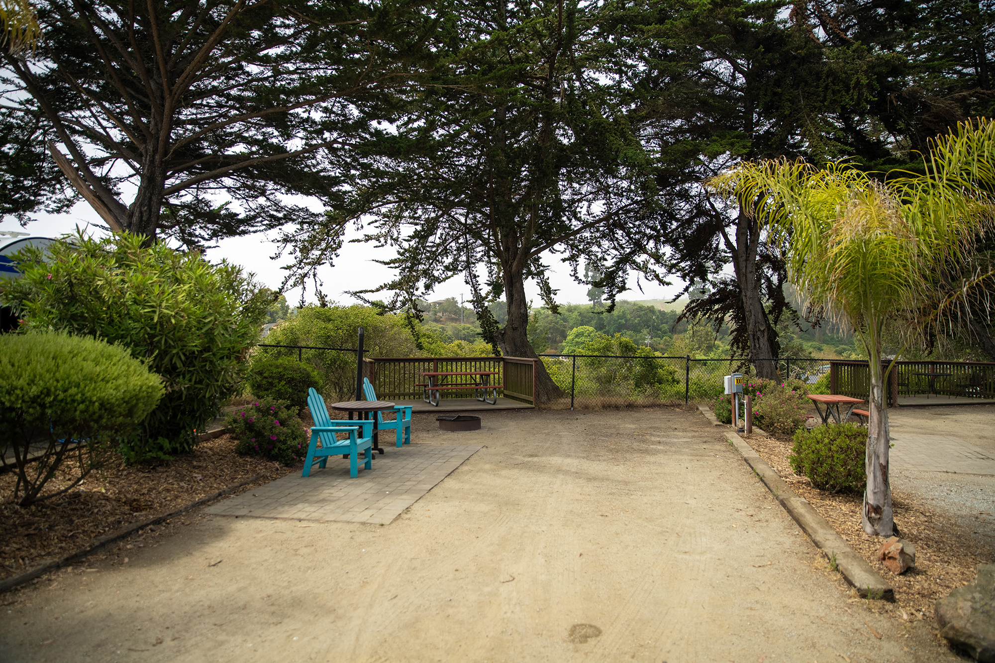 RV Camping Sites | Santa Cruz/Monterey Bay | KOA Holiday