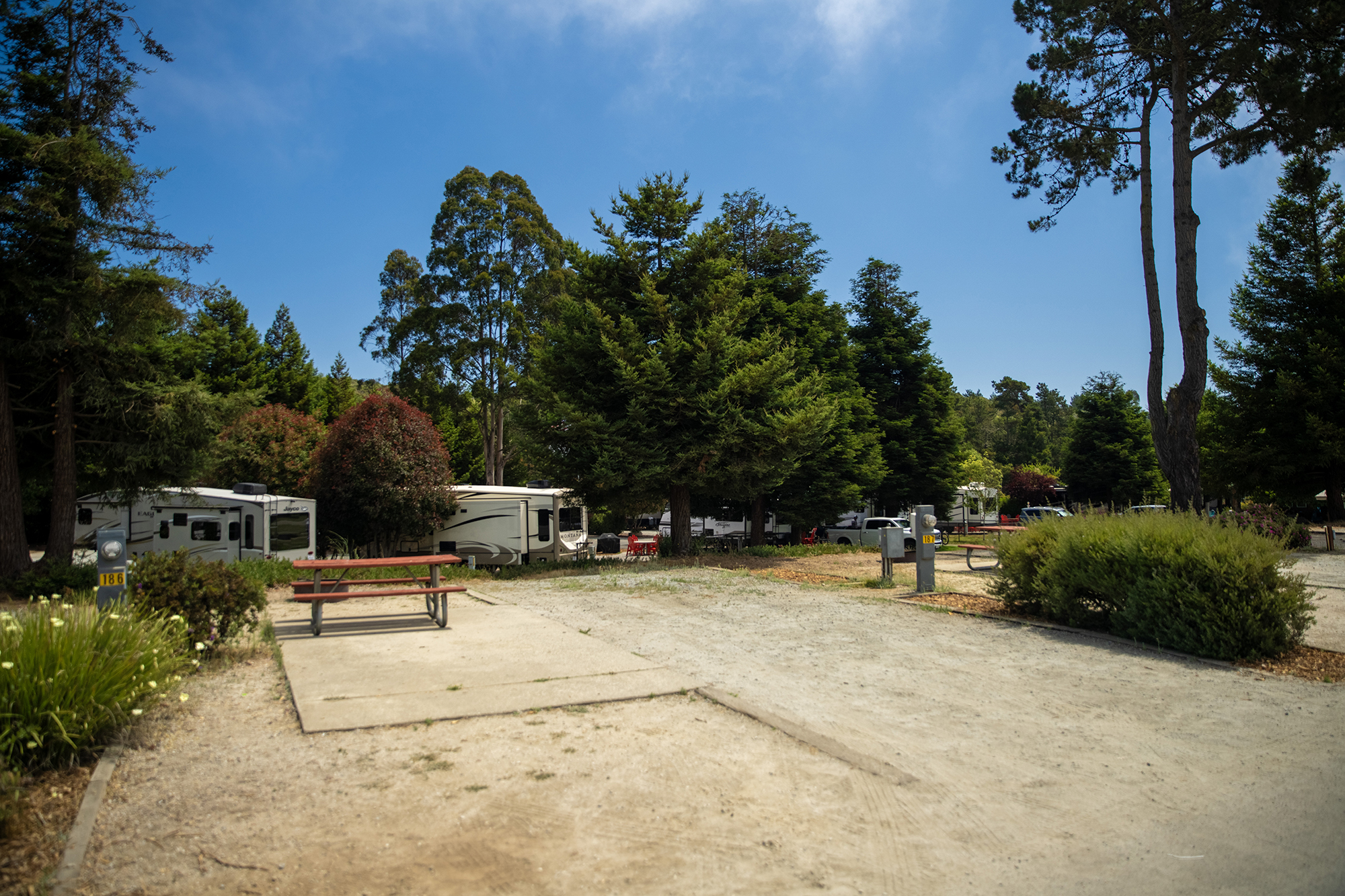 RV Camping Sites | Santa Cruz/Monterey Bay | KOA Holiday