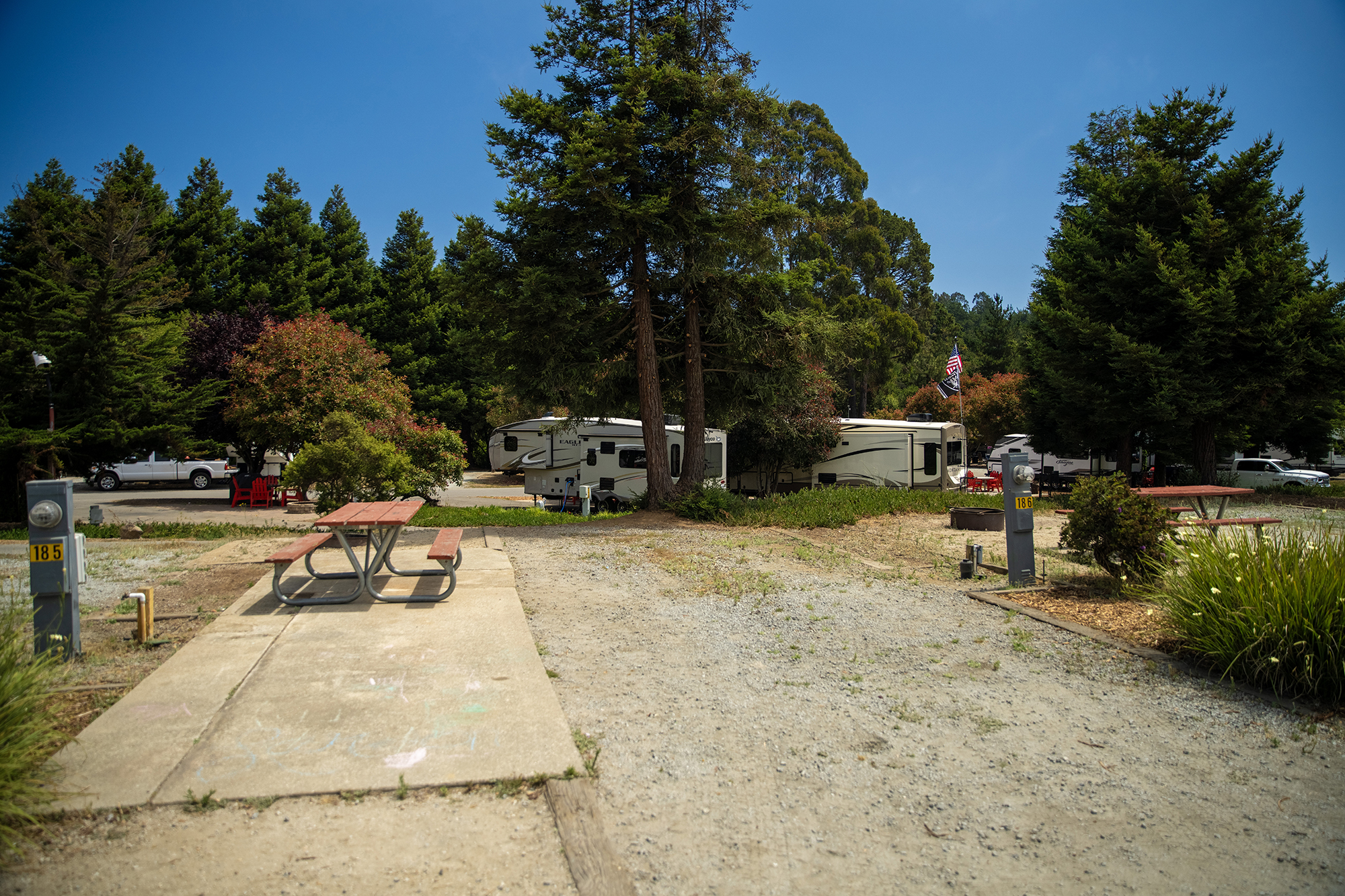 RV Camping Sites | Santa Cruz/Monterey Bay | KOA Holiday