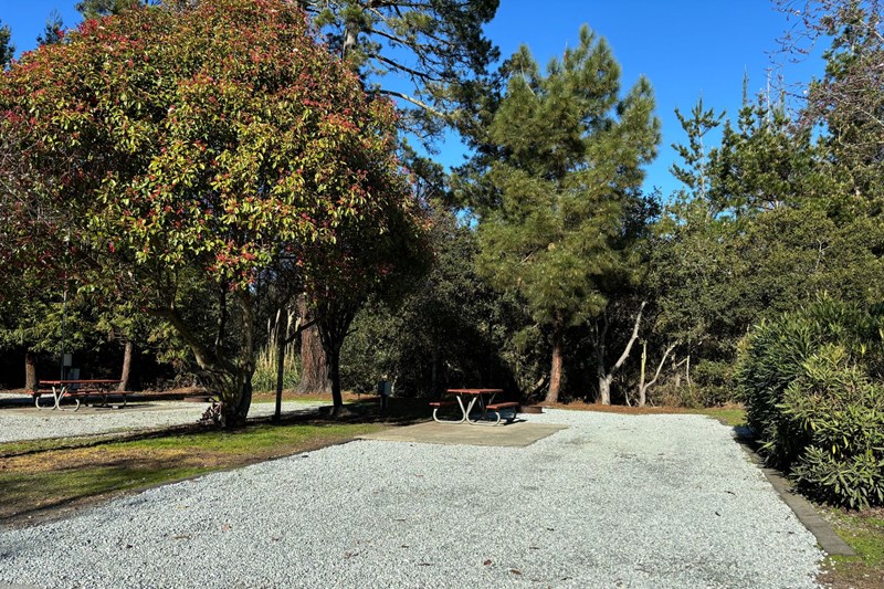 Full-Hookup RV Sites | Santa Cruz/Monterey Bay KOA Holiday