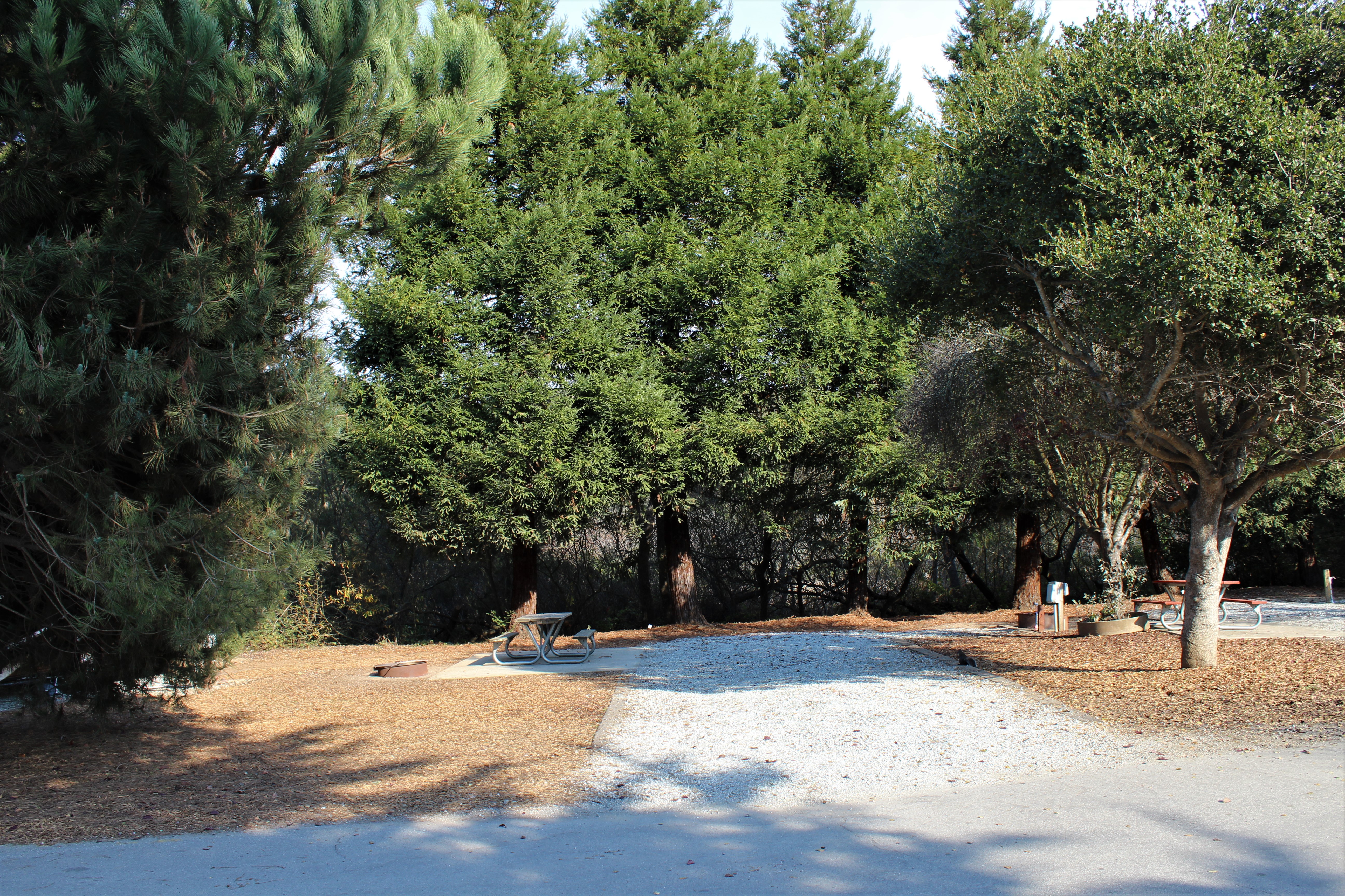 RV Camping Sites | Santa Cruz/Monterey Bay | KOA Holiday