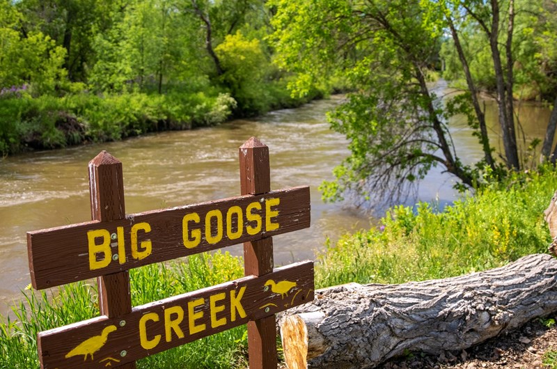 Explore History @ The Hub: Big Goose Creek Walking Tour: Event at the ...