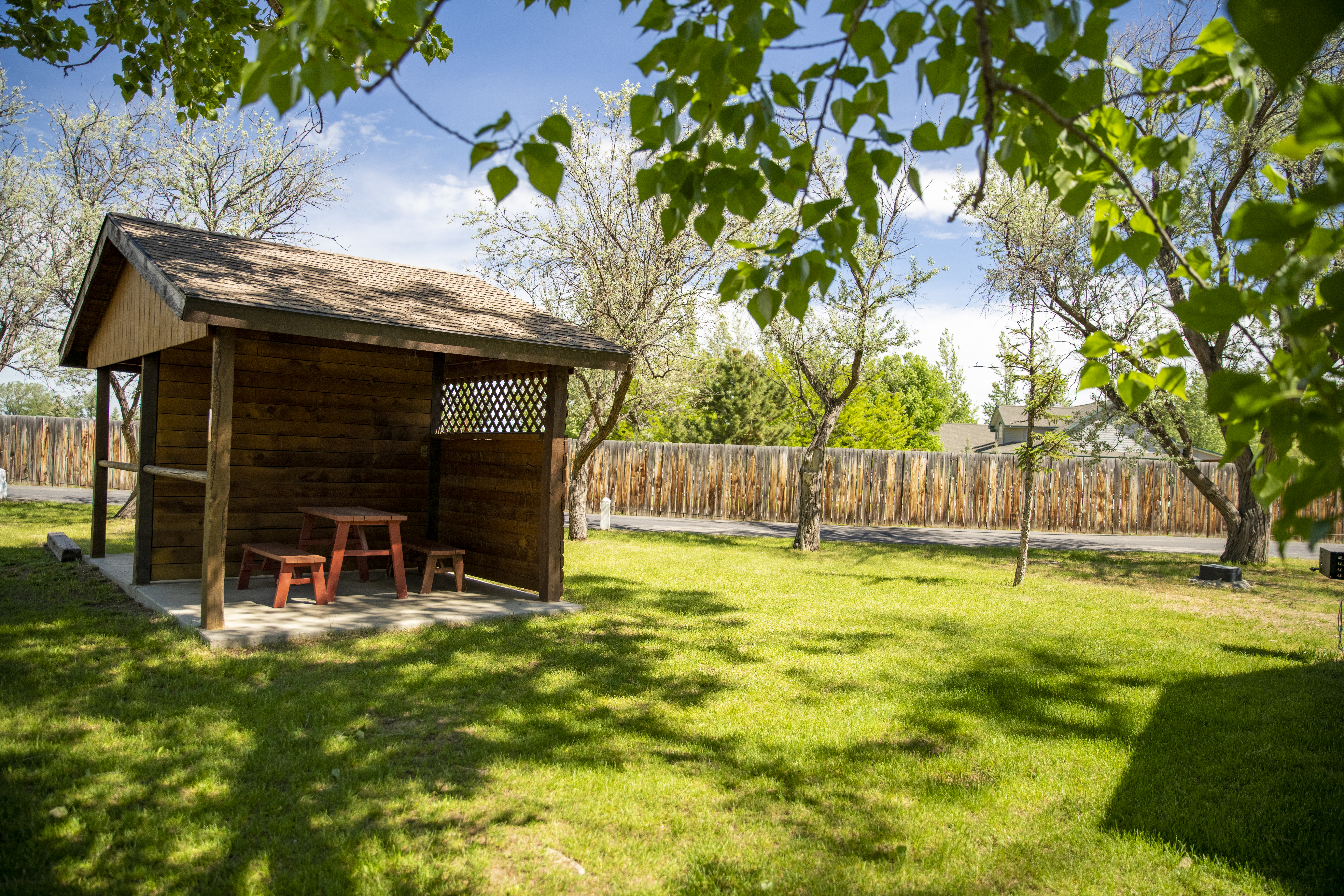 Sheridan Tent Camping | Sheridan/Big Horn Mountains KOA