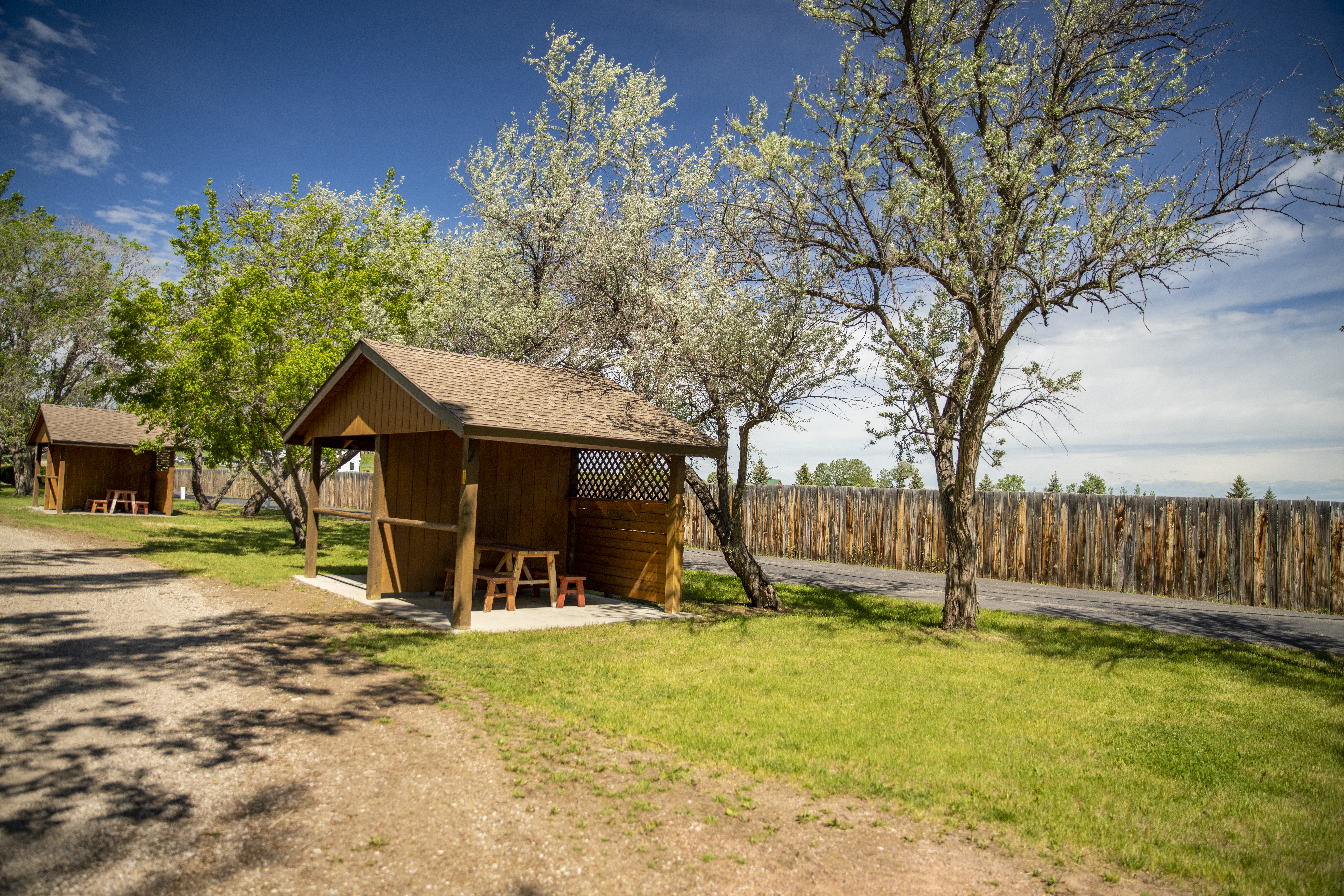 Sheridan Tent Camping | Sheridan/Big Horn Mountains KOA