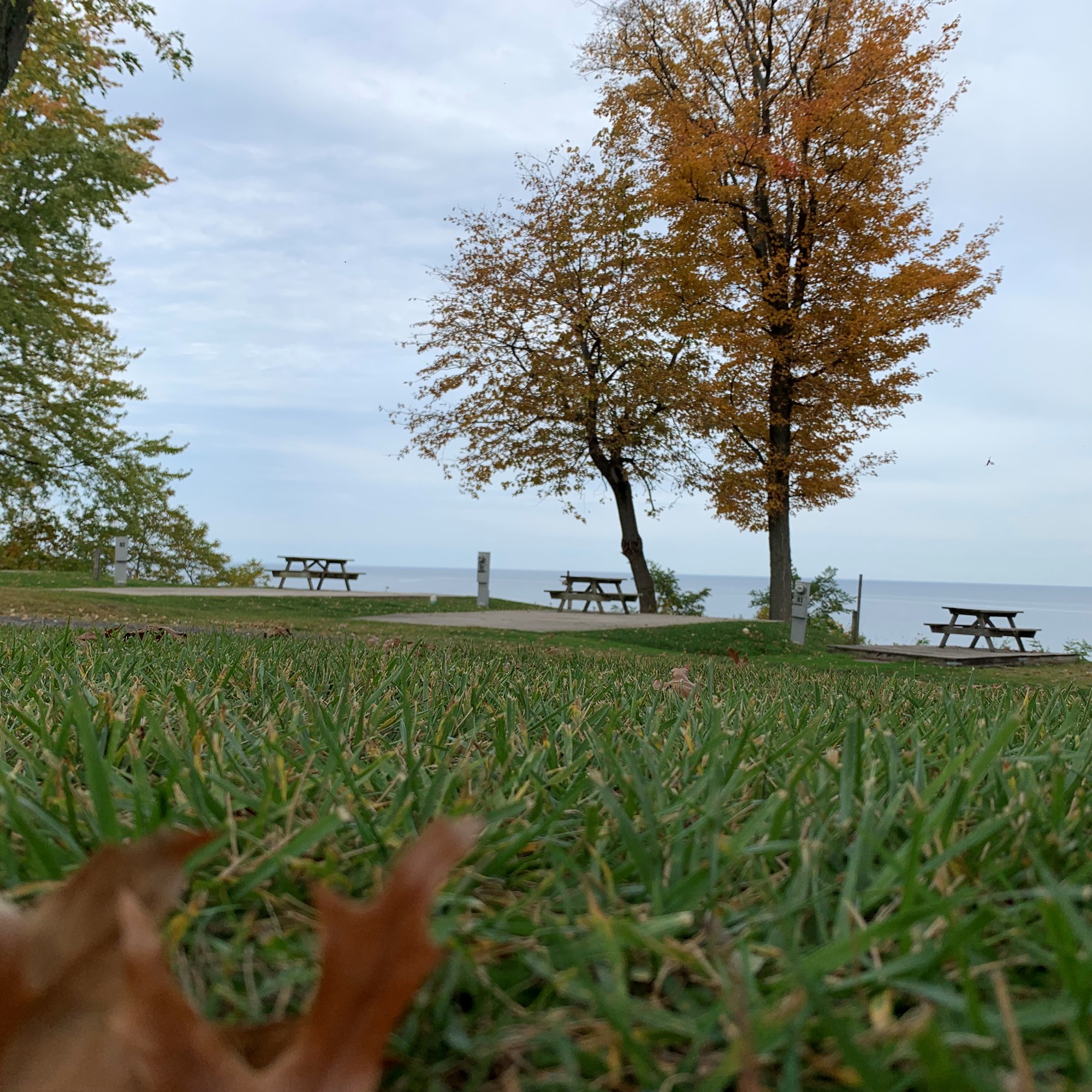 Sodus Point, New York Campground | Sodus Point / Lake Ontario KOA Journey