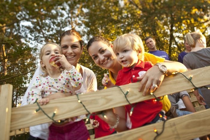 Purple Painted Lady Festival: Event at the Sodus Point / Lake Ontario ...