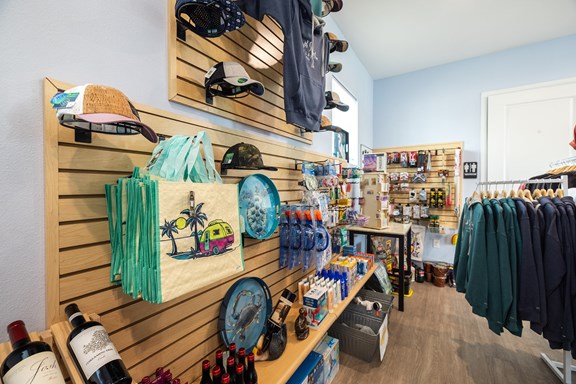 Activities & Recreation | South Padre Island KOA