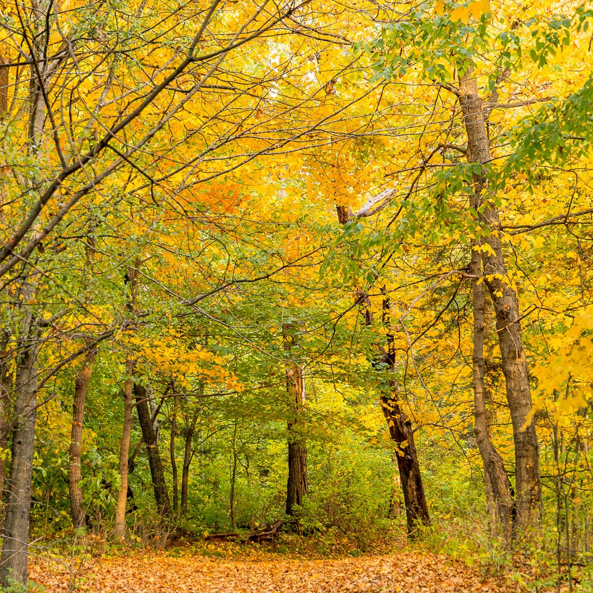 Spring Grove, Minnesota Campground | Spring Grove KOA Journey