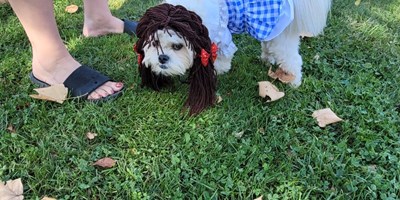 Spring Grove, Minnesota Campground | Spring Grove KOA Journey