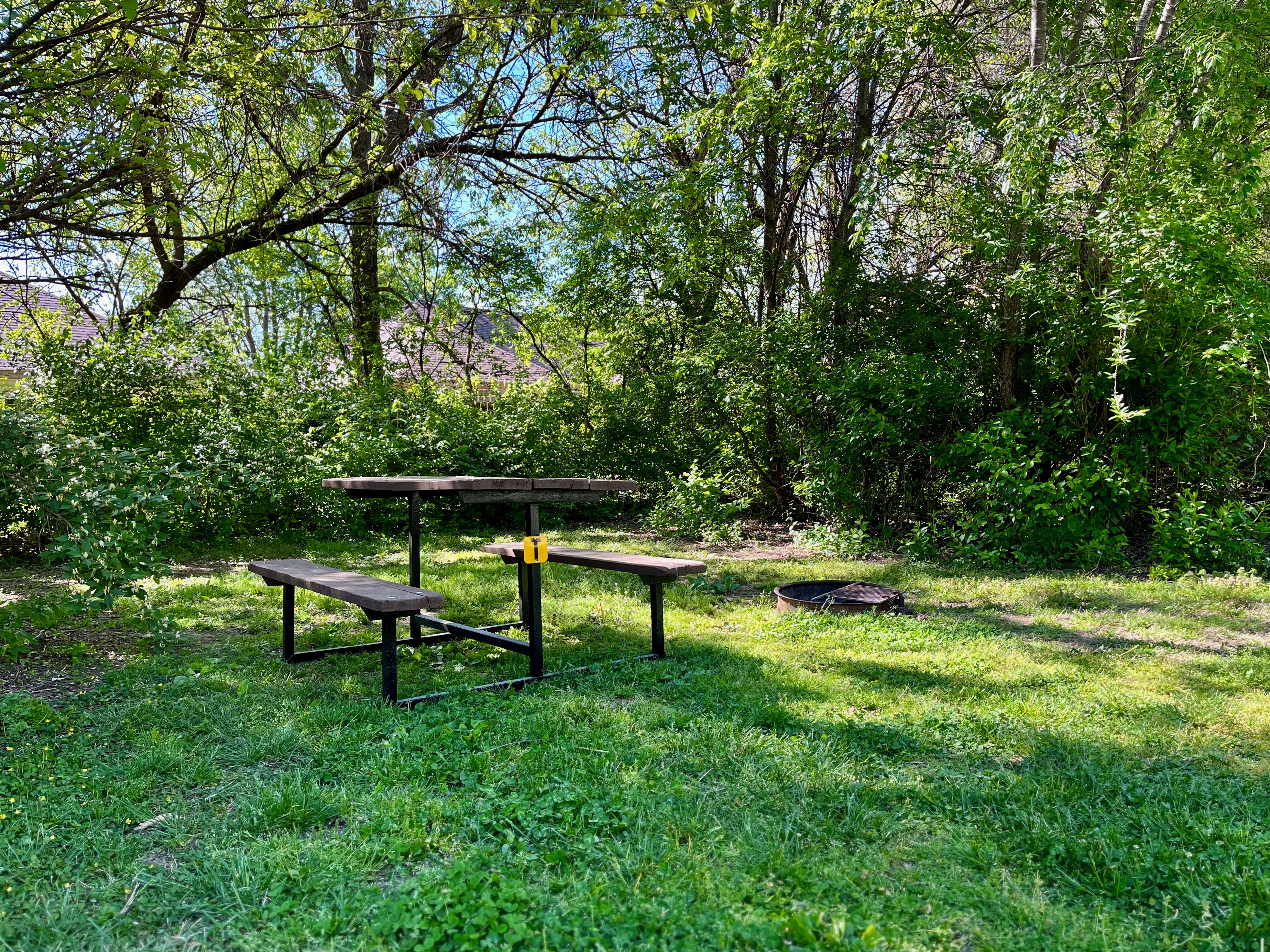 Springfield Tent Sites | Springfield/Route 66 KOA Holiday