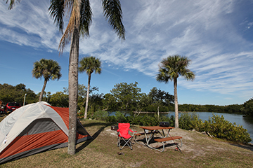 St. Petersburg, Florida Tent Camping Sites | KOA Campgrounds