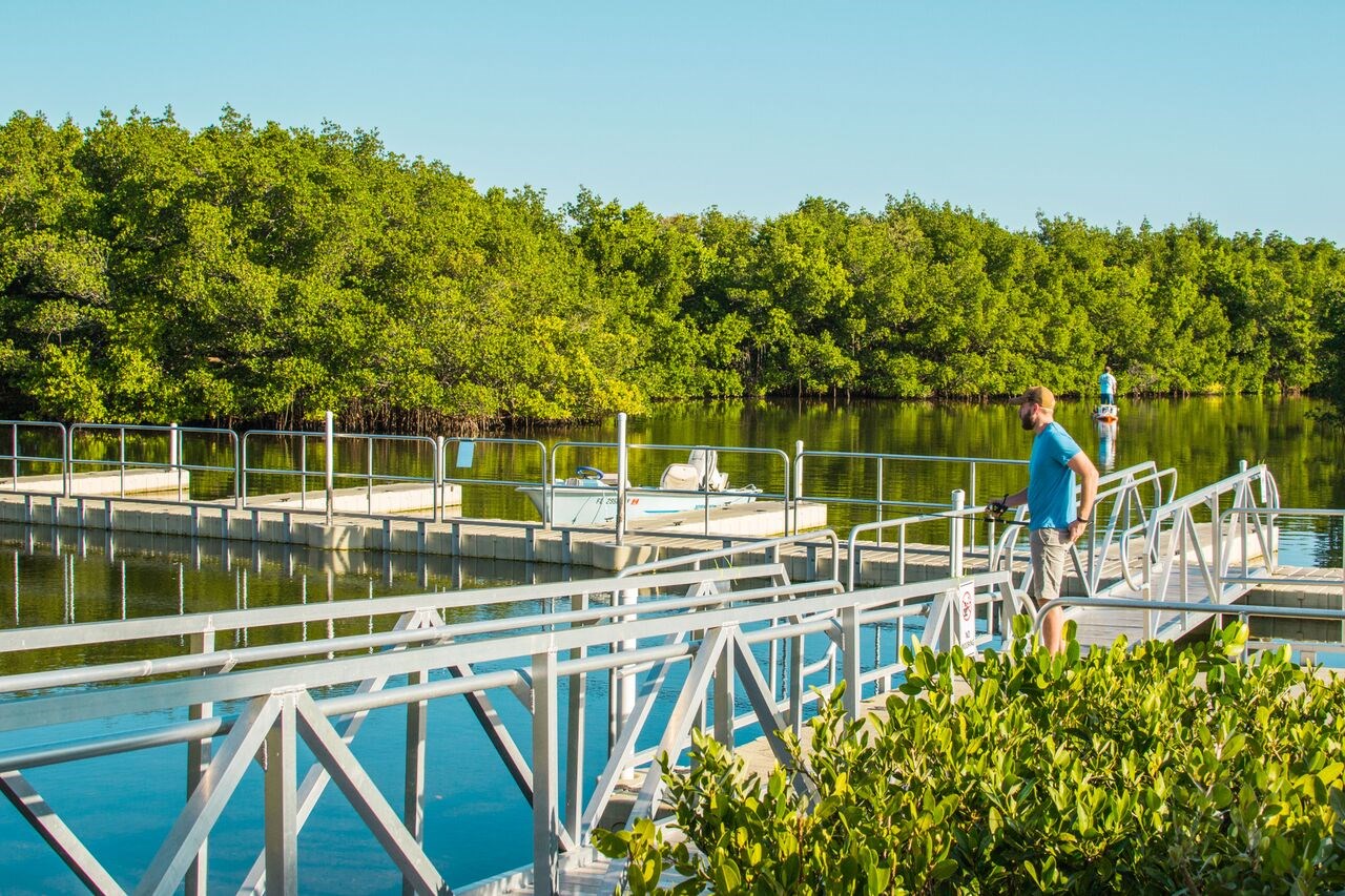 St. Petersburg / Madeira Beach KOA Holiday - RV Campground in St ...