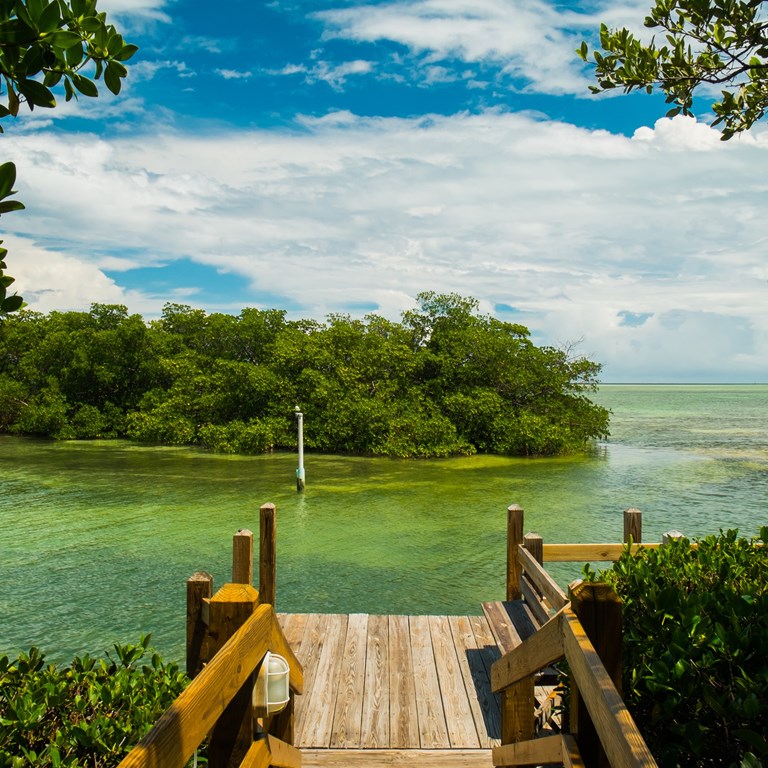 General Campground Information | St. Petersburg/Madeira Beach