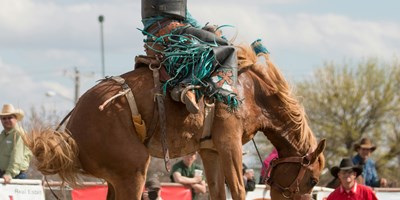 Dublin, Texas Campground | Stephenville / Dublin KOA Journey