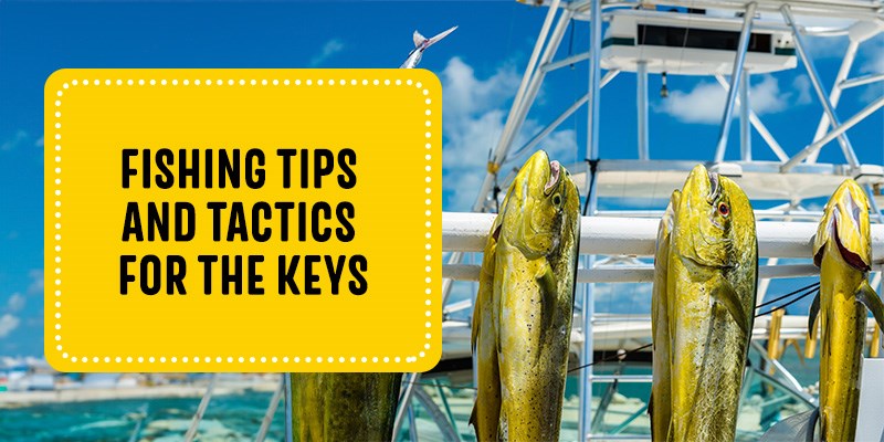 Fishing Tips for the Florida Keys | KOA