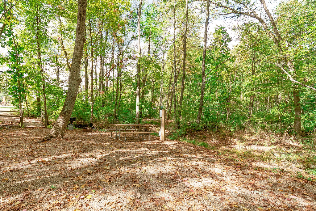 Tent Camping Sites Near Columbus, OH | KOA Holiday