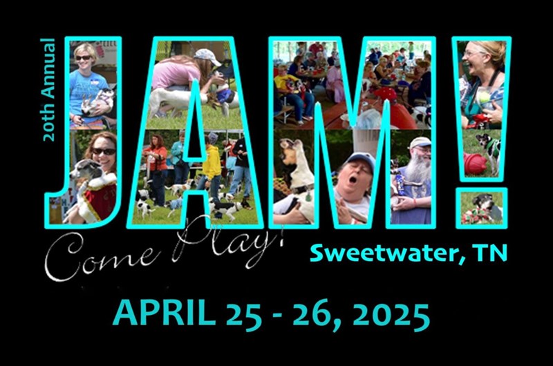 20th Annual Rat Terrier Jamboree: Event at the Sweetwater KOA Holiday ...