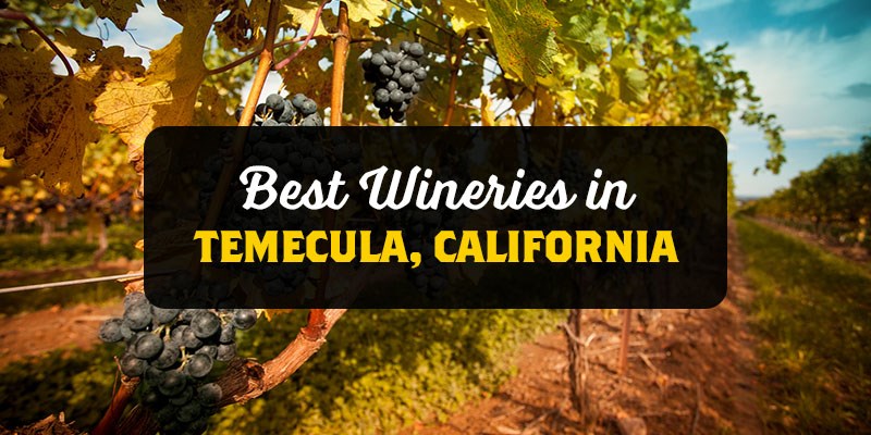 Best Wineries in Temecula, California | Temecula KOA