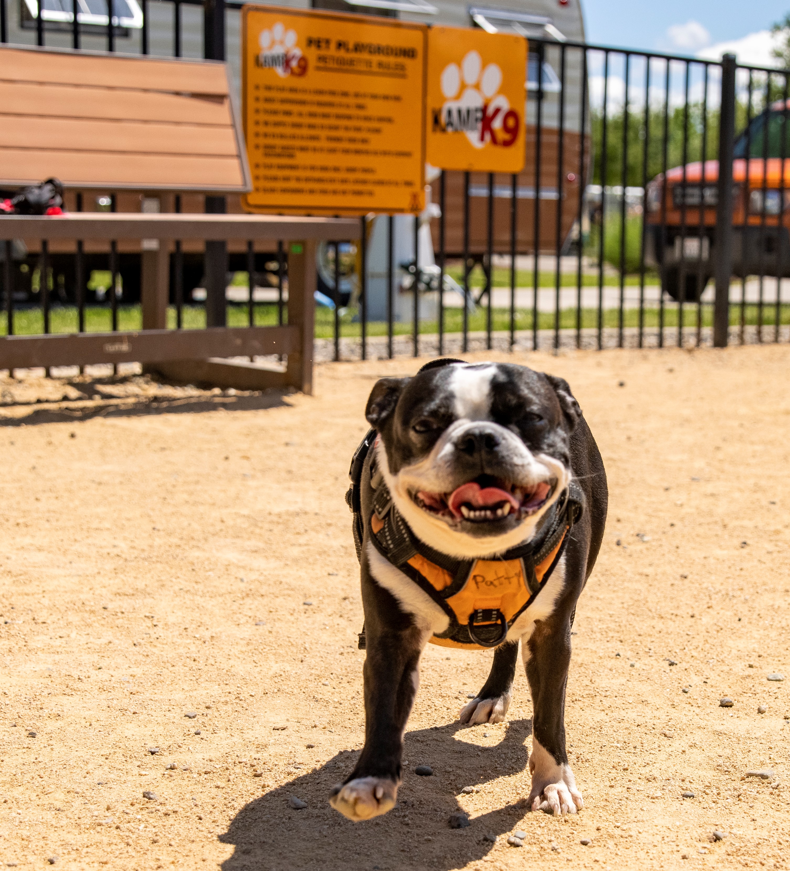 Trinity Center, California Campground | Trinity Lake KOA Holiday