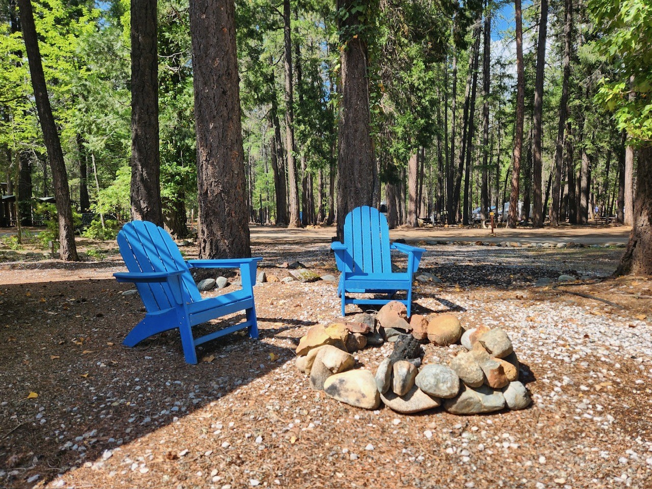 Trinity Center, California Lodging | Trinity Lake KOA Holiday