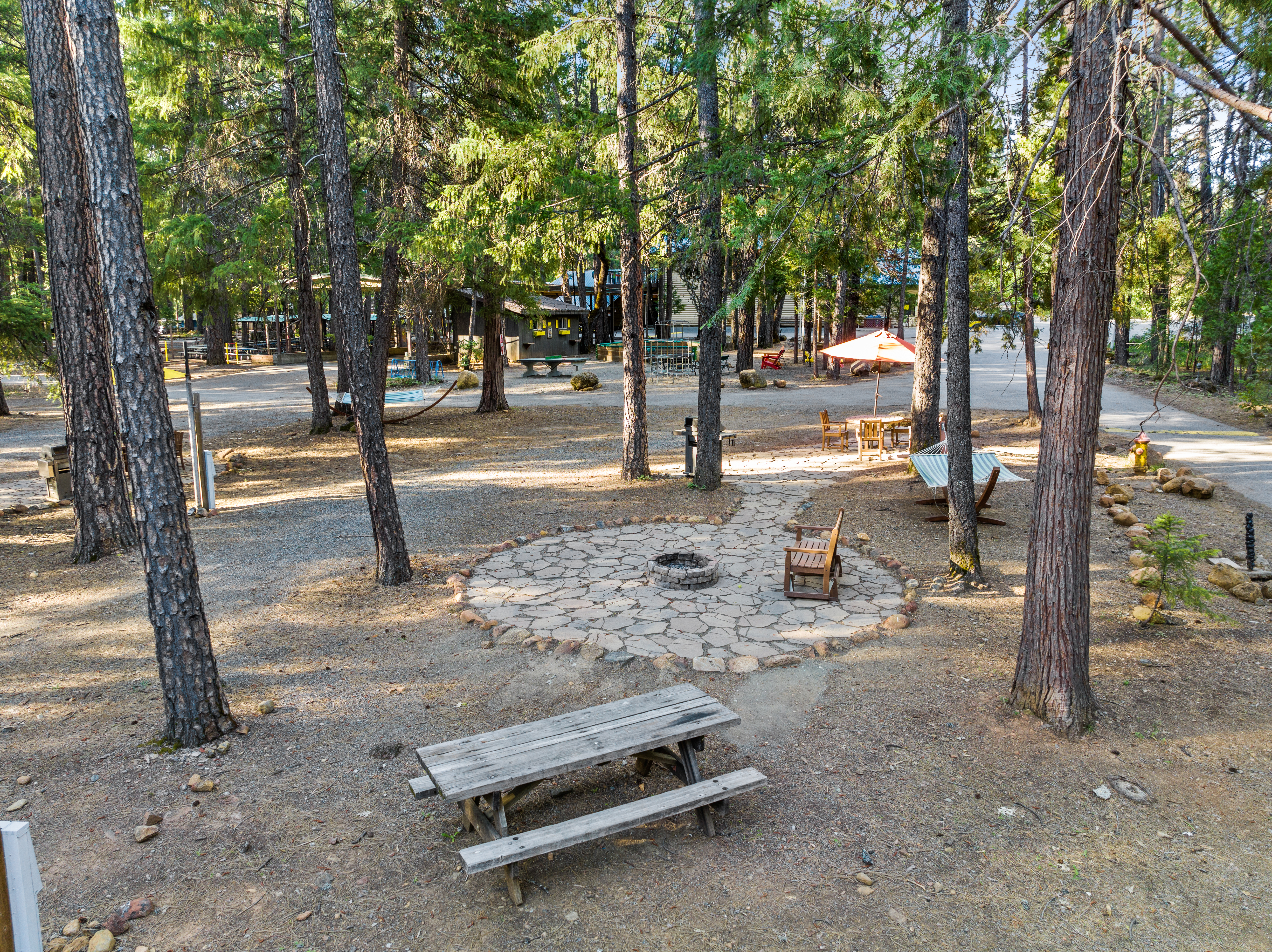 Trinity Center, California RV Camping Sites | Trinity Lake KOA Holiday
