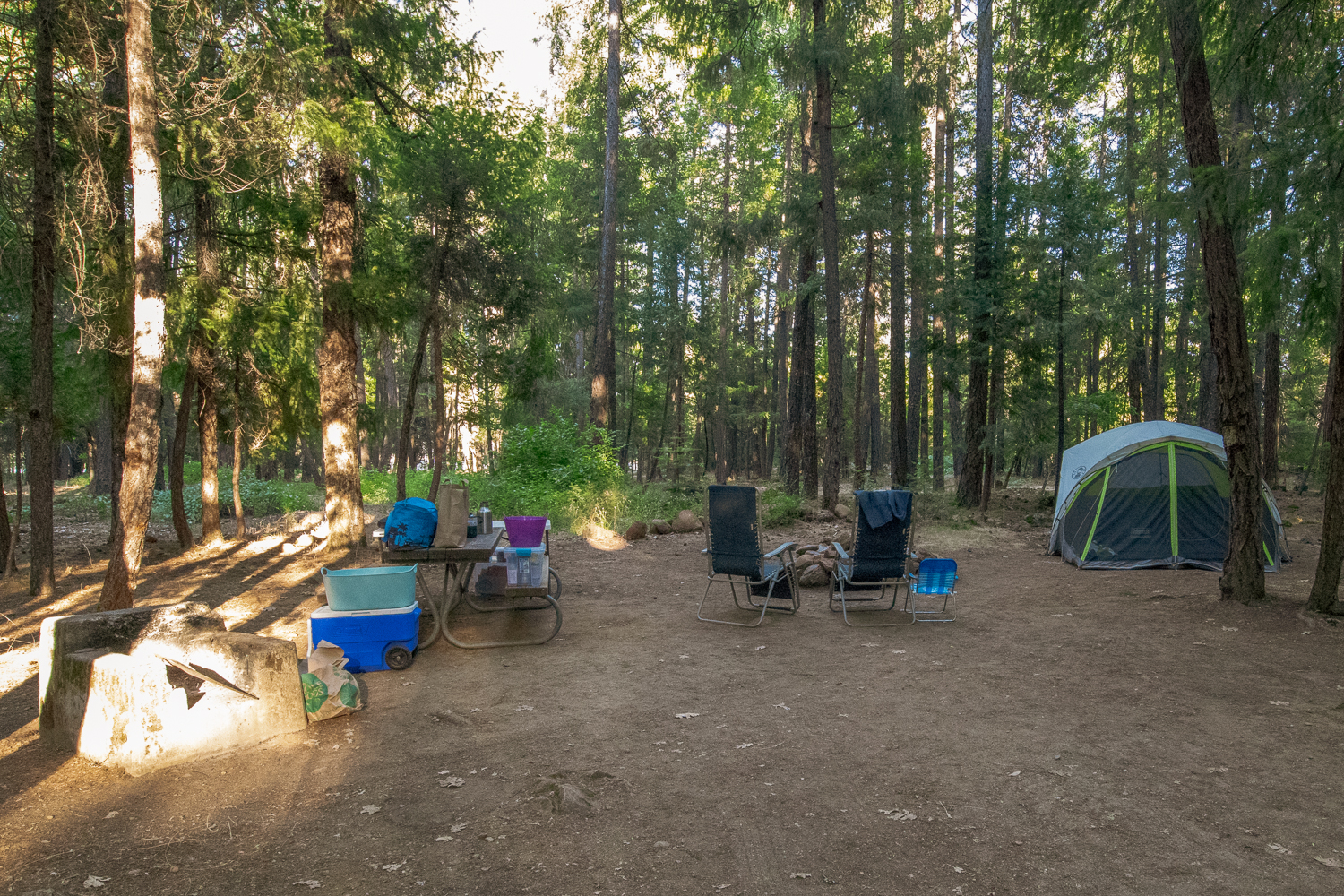 Trinity Center, California Tent Camping Sites | Trinity Lake KOA Holiday