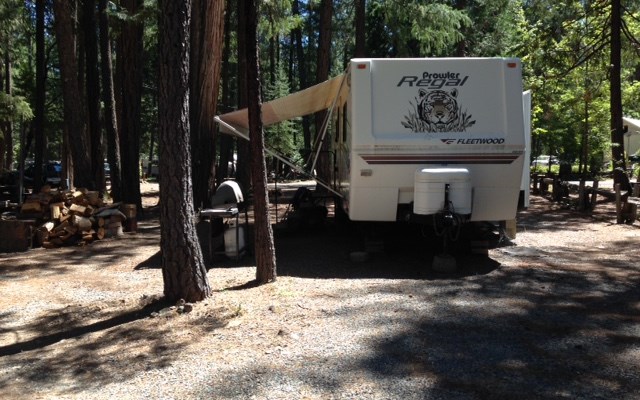 Trinity Center, California RV Camping Sites | Trinity Lake KOA Holiday