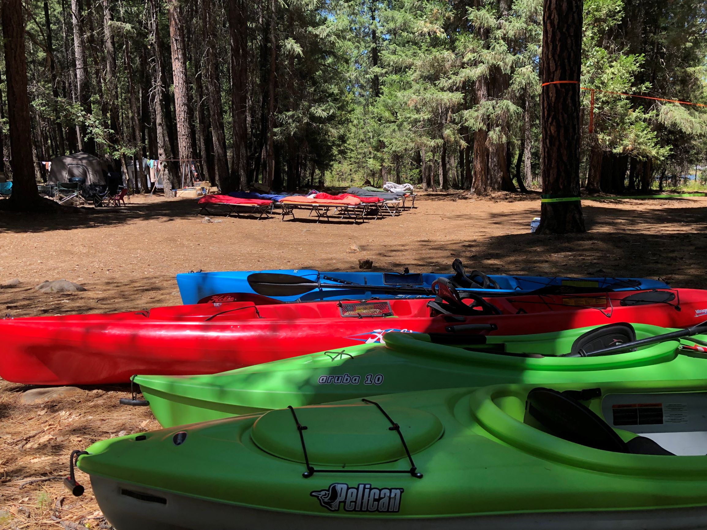 Trinity Center, California Tent Camping Sites | Trinity Lake KOA Holiday