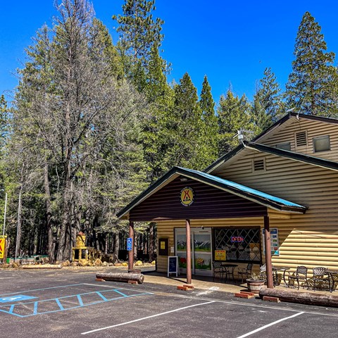 Trinity Center, California Camping Photos | Trinity Lake KOA Holiday