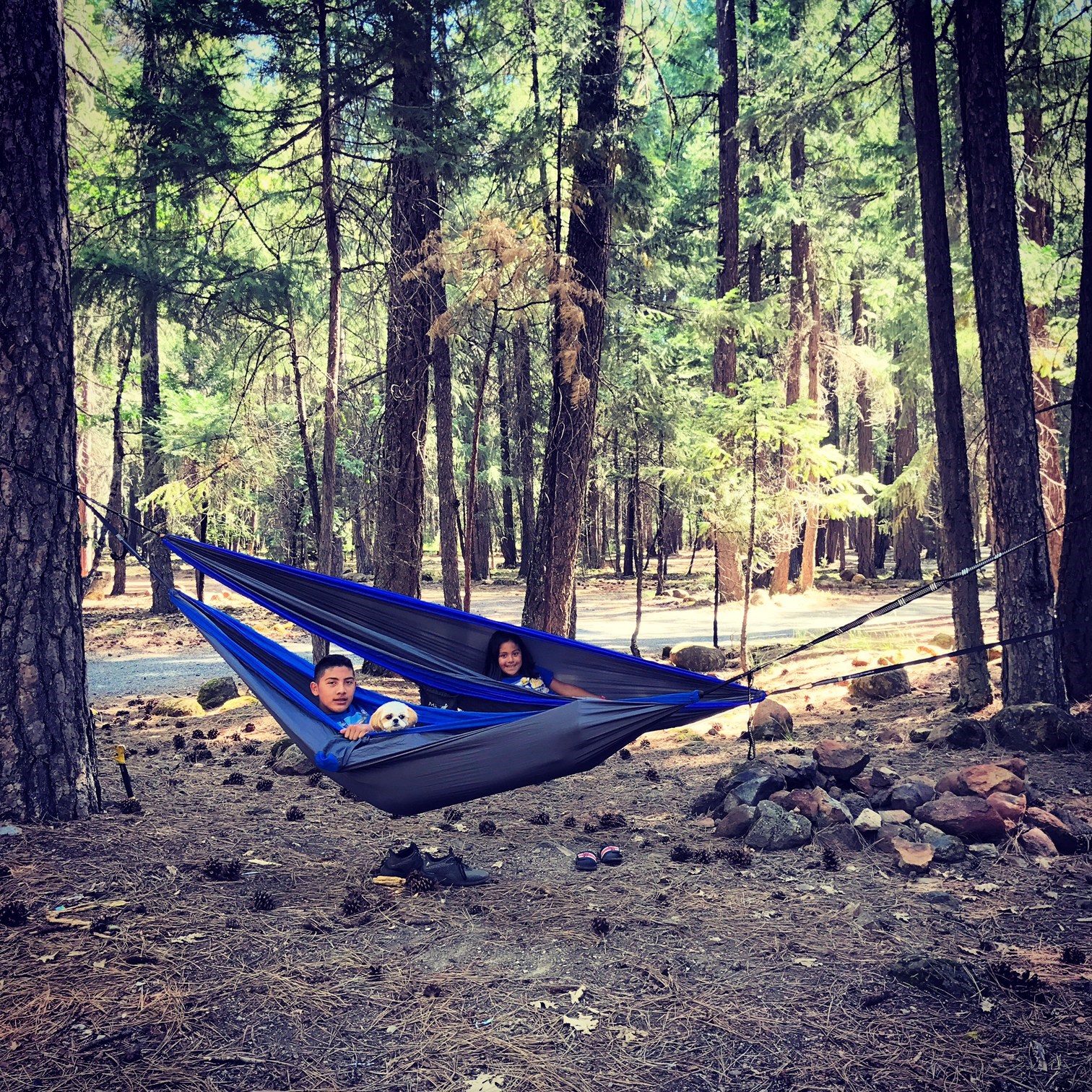 Trinity Lake KOA Holiday - RV Campground in Trinity Center, CA