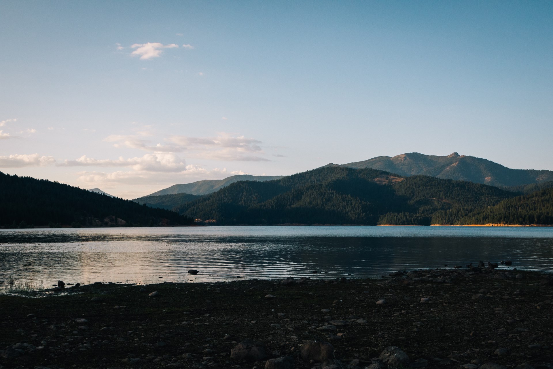 Trinity Lake KOA Holiday Blog | KOA Campgrounds