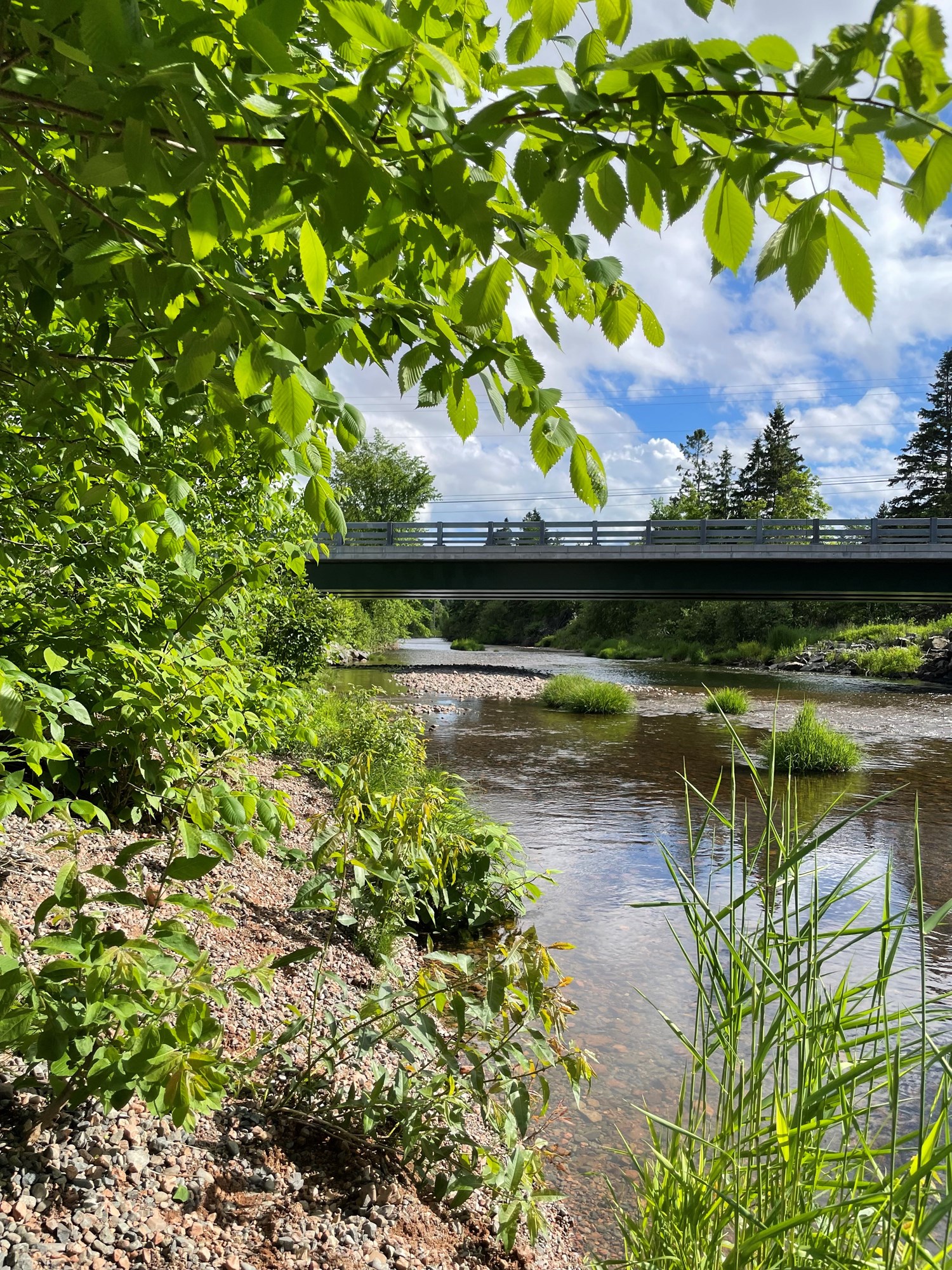 Glenholme, Nova Scotia Campground | Truro / Tidal Bore KOA Holiday