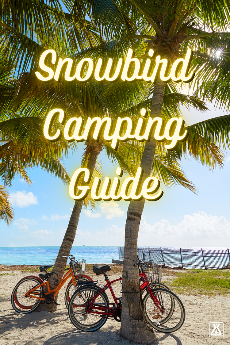 Snowbird Travel Guide | Tucson/Lazydays KOA Resort