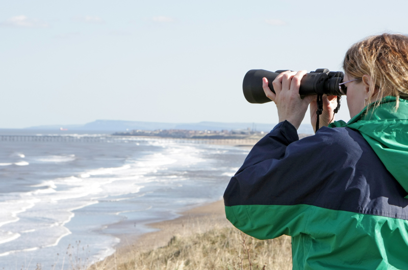 Virginia Beach Winter Wildlife Festival: Event at the Virginia Beach ...