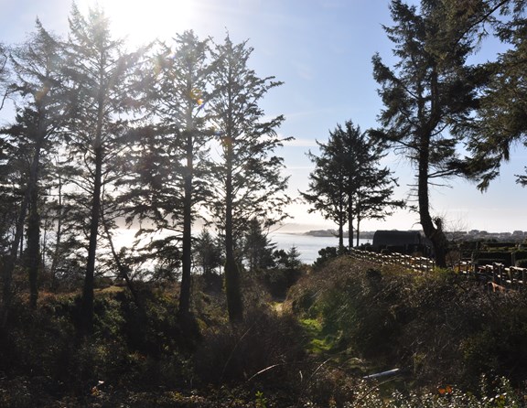 Oregon Coast Camping | Best Tent & RV Camping Along the Oregon Coast