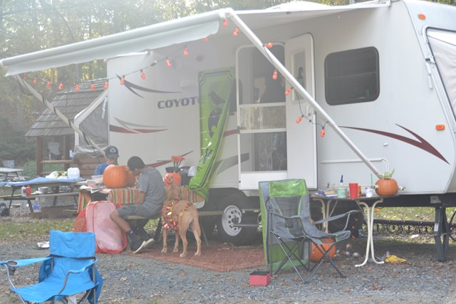 Millersville, Maryland Camping Photos | Washington DC / Capitol KOA Holiday