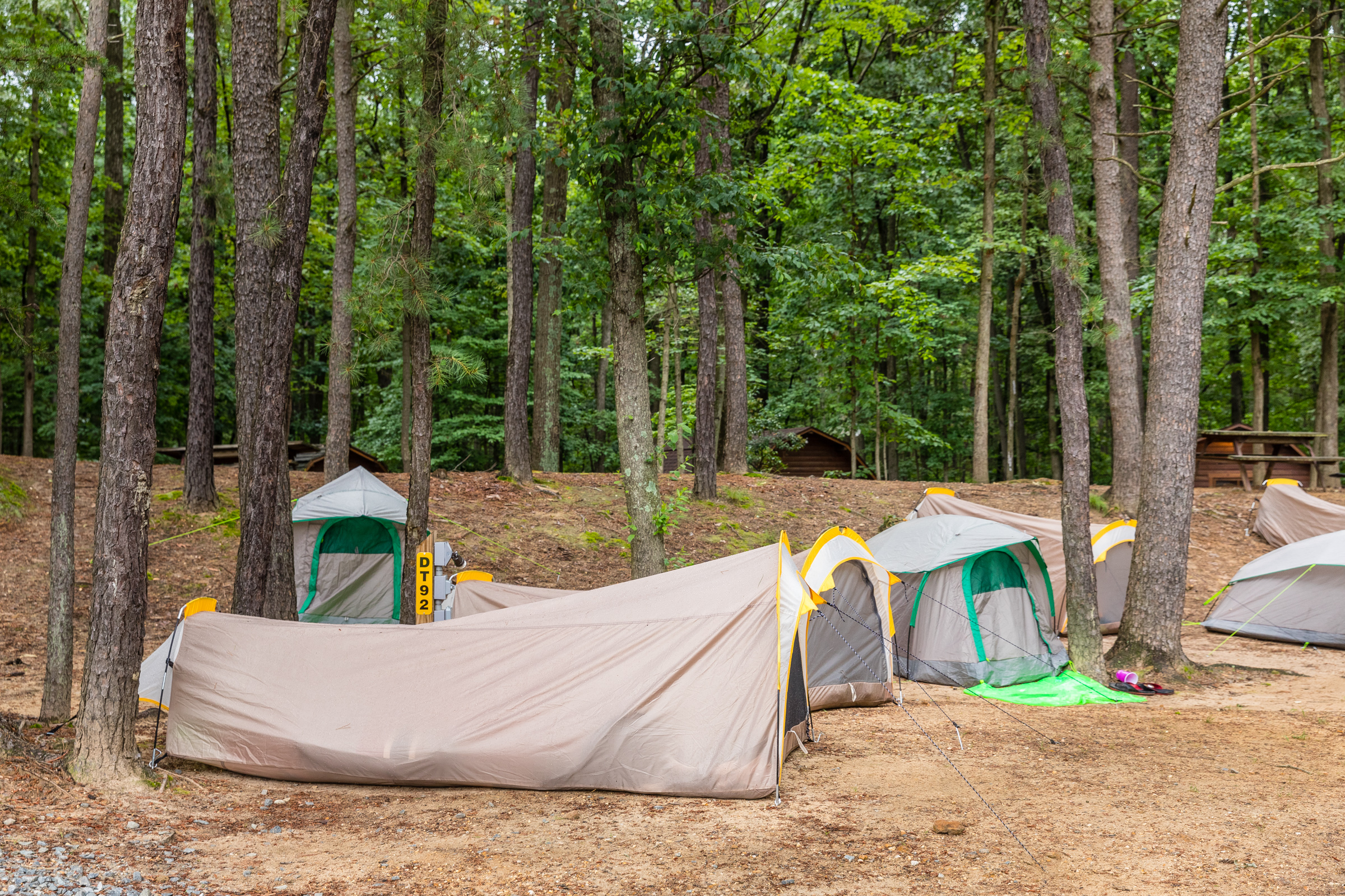 Tent Camping Sites | Washington DC/Capitol KOA Holiday
