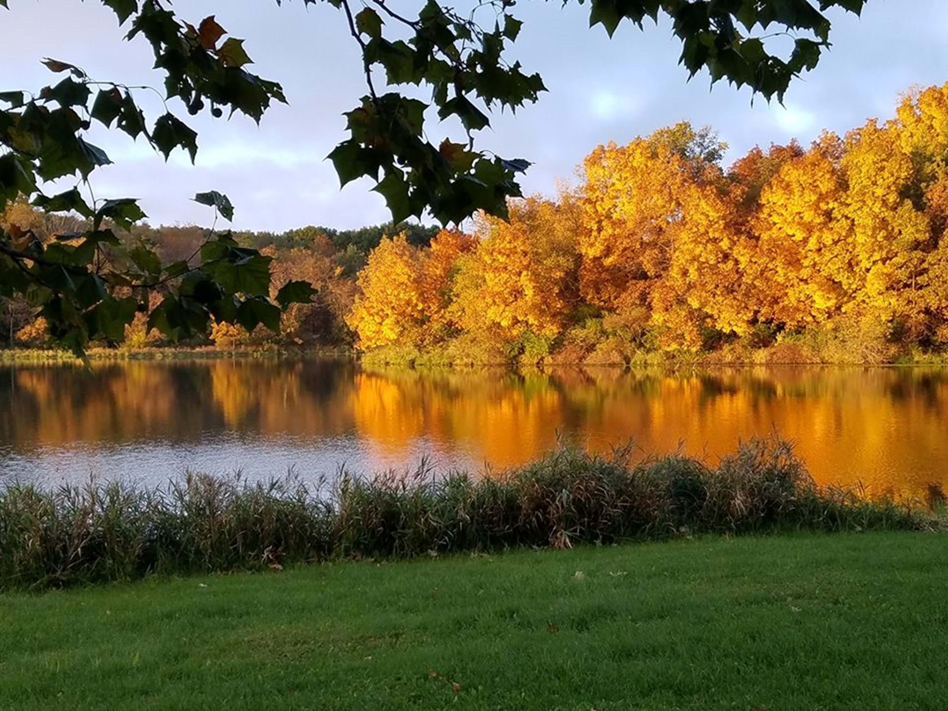 Waterloo, Iowa Campground | Waterloo / Lost Island KOA Resort