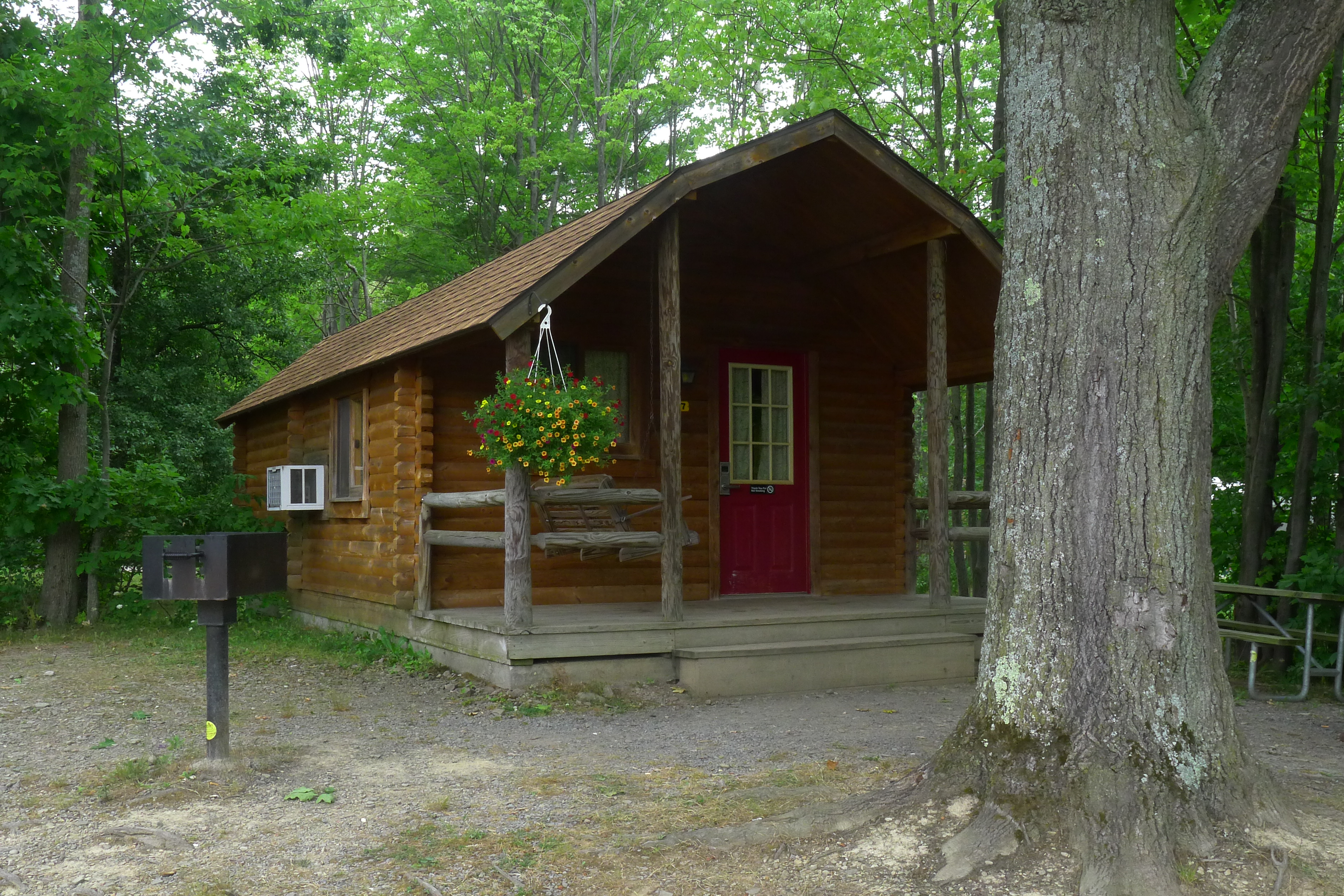 Deluxe Cabins & Camping in Watkins Glen | KOA