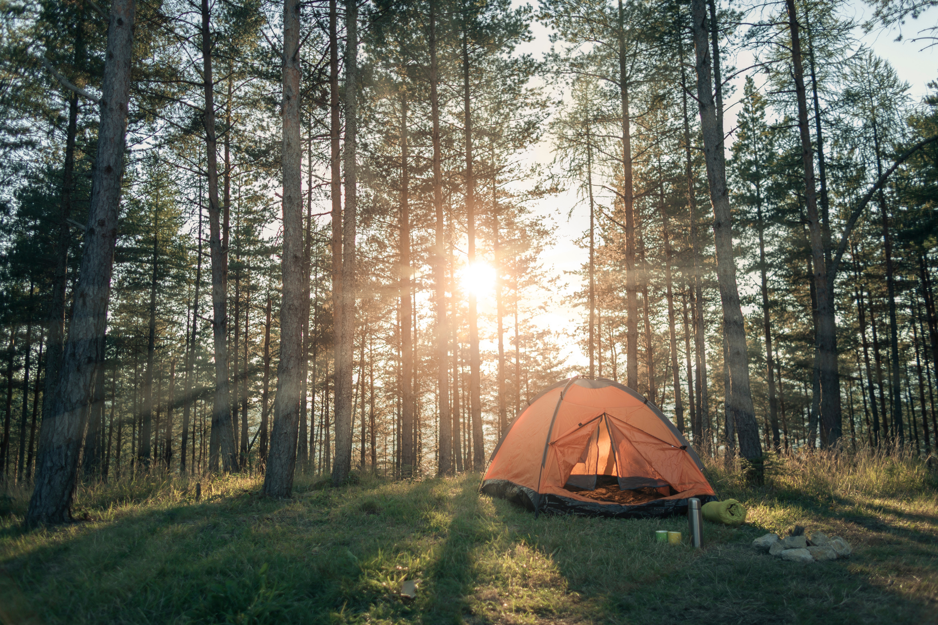 Webster, Massachusetts Campground | Webster / Douglas Forest KOA Journey