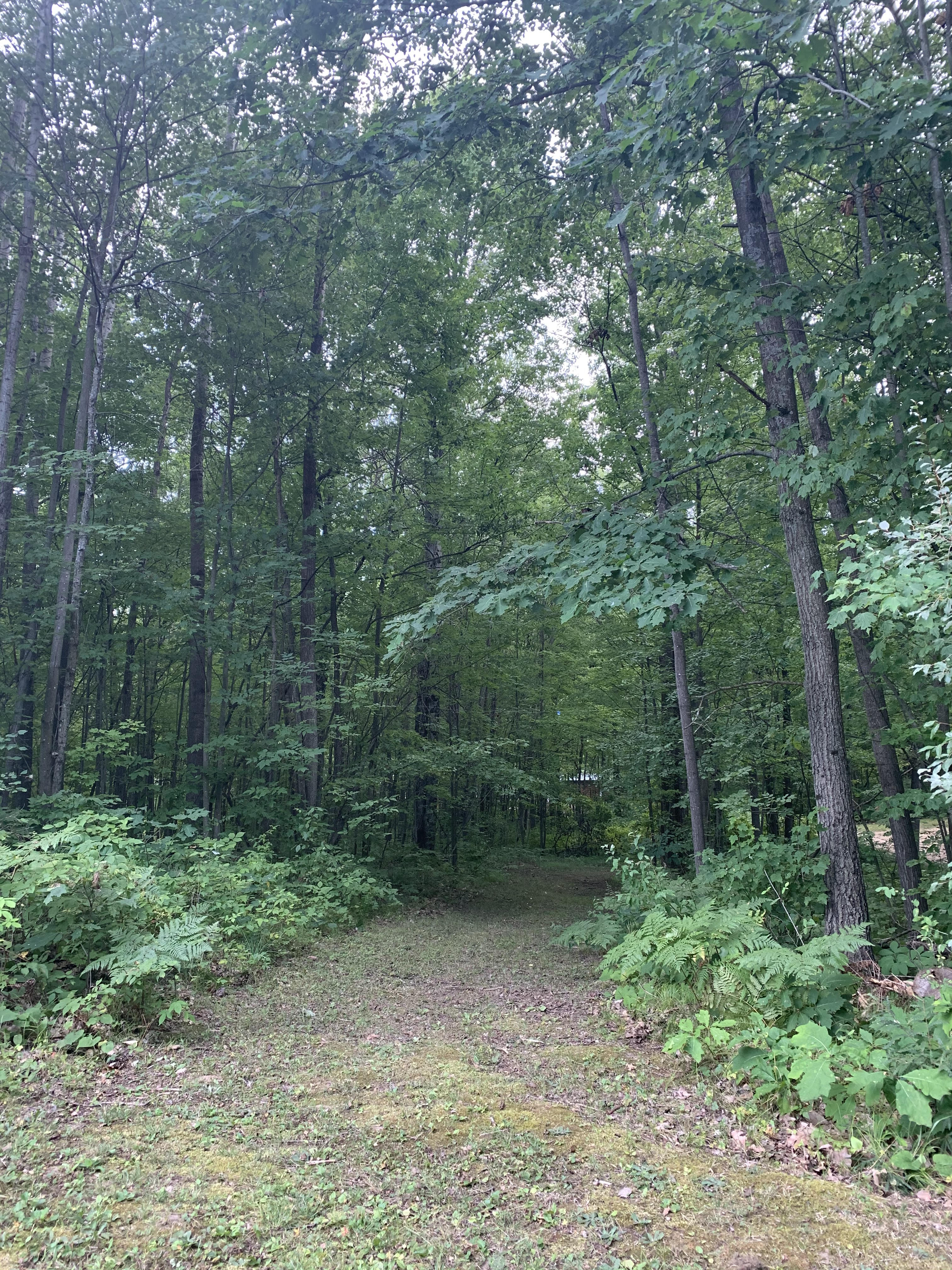 Weidman, Michigan Campground | Weidman KOA Holiday