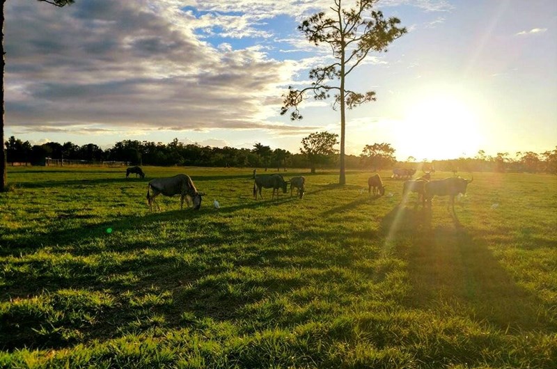 West Palm Beach / Lion Country Safari KOA Journey Events: Event at the ...