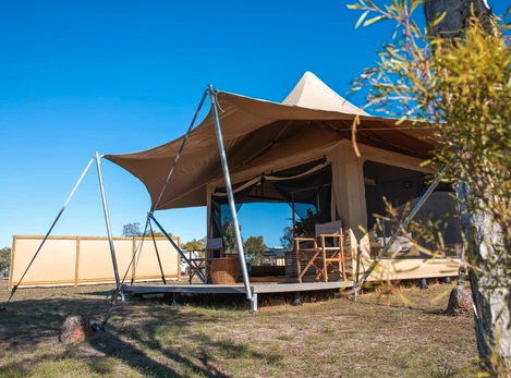 Williams, Arizona Lodging | Williams / Exit 167 / Circle Pines KOA Holiday