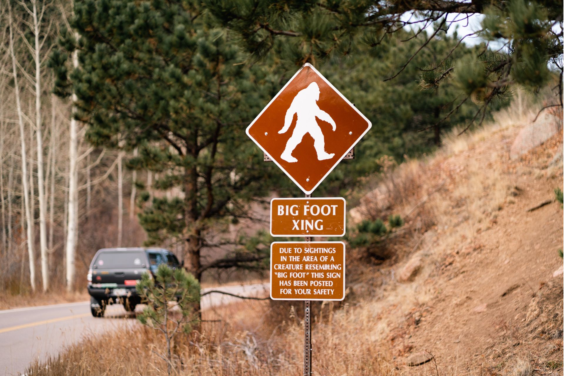 Chasing Legends: Bigfoot Sightings Near Winthrop, Washington
