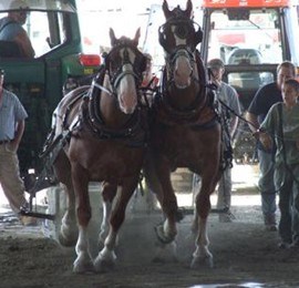 LANCASTER FAIR!: Event at the Lincoln / Woodstock KOA Holiday ...