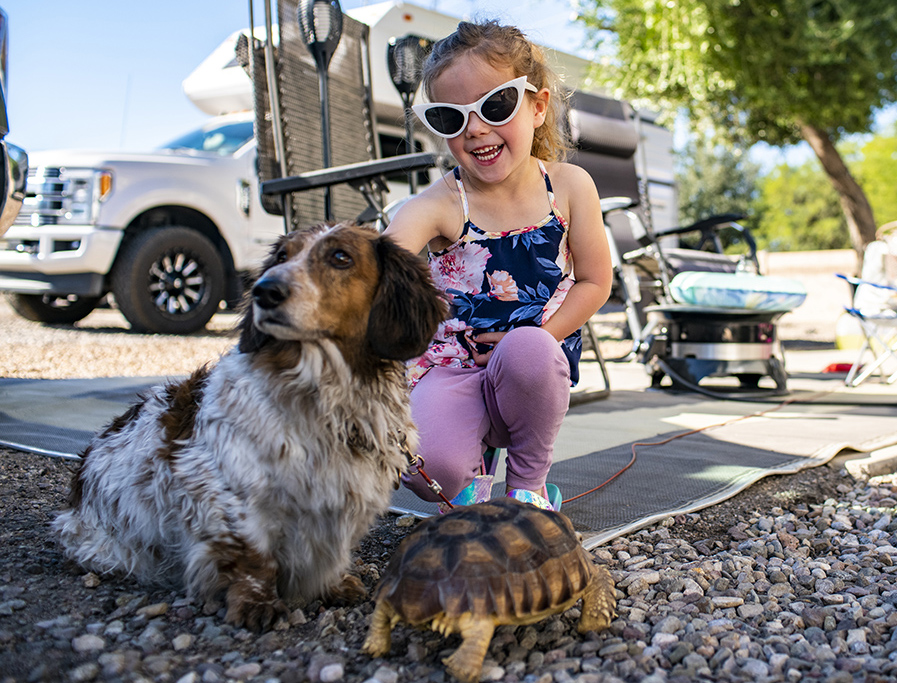 Tips for Camping With Your Dog and Other Pets | KOA