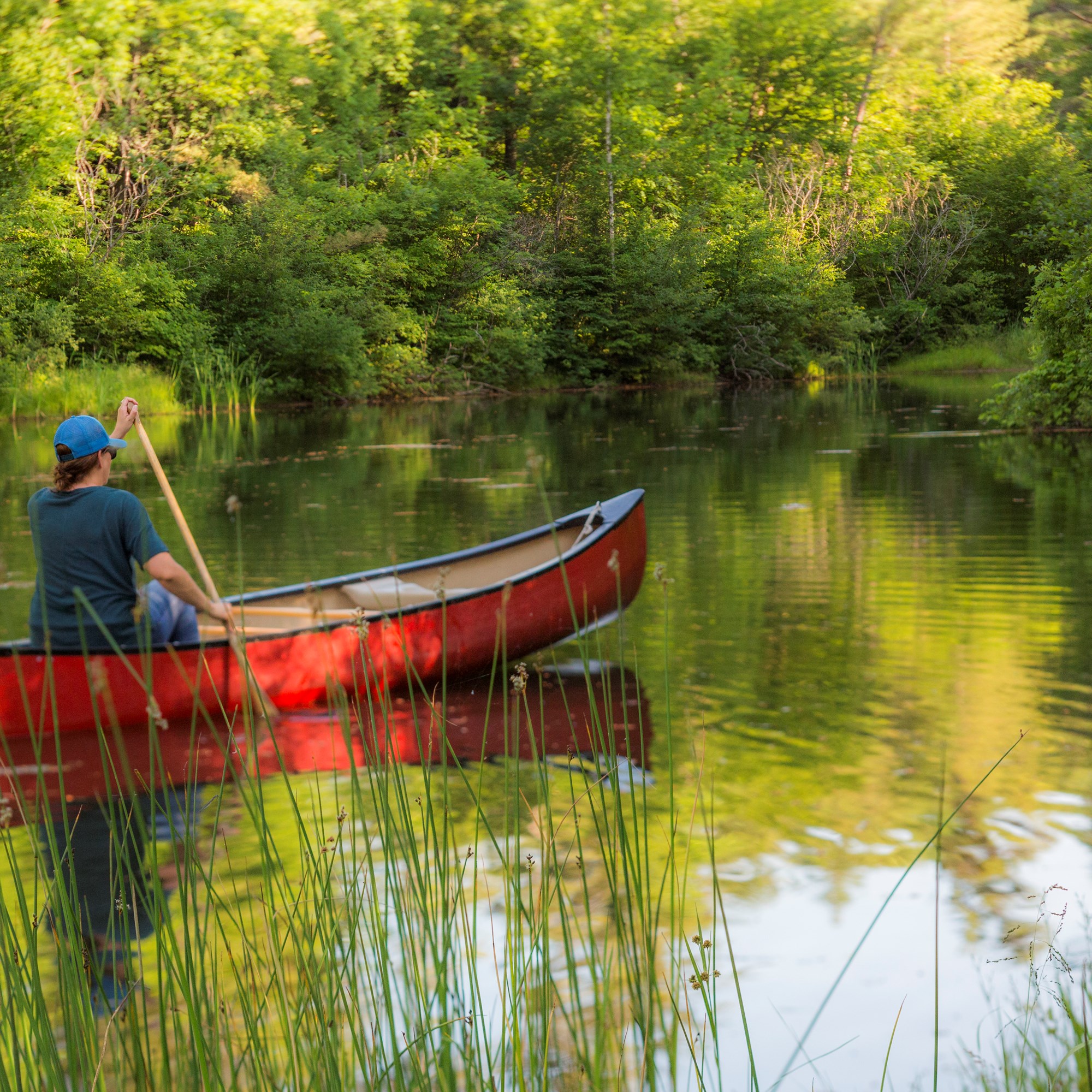 Yuma, Arizona Campground | Yuma River Front KOA Journey