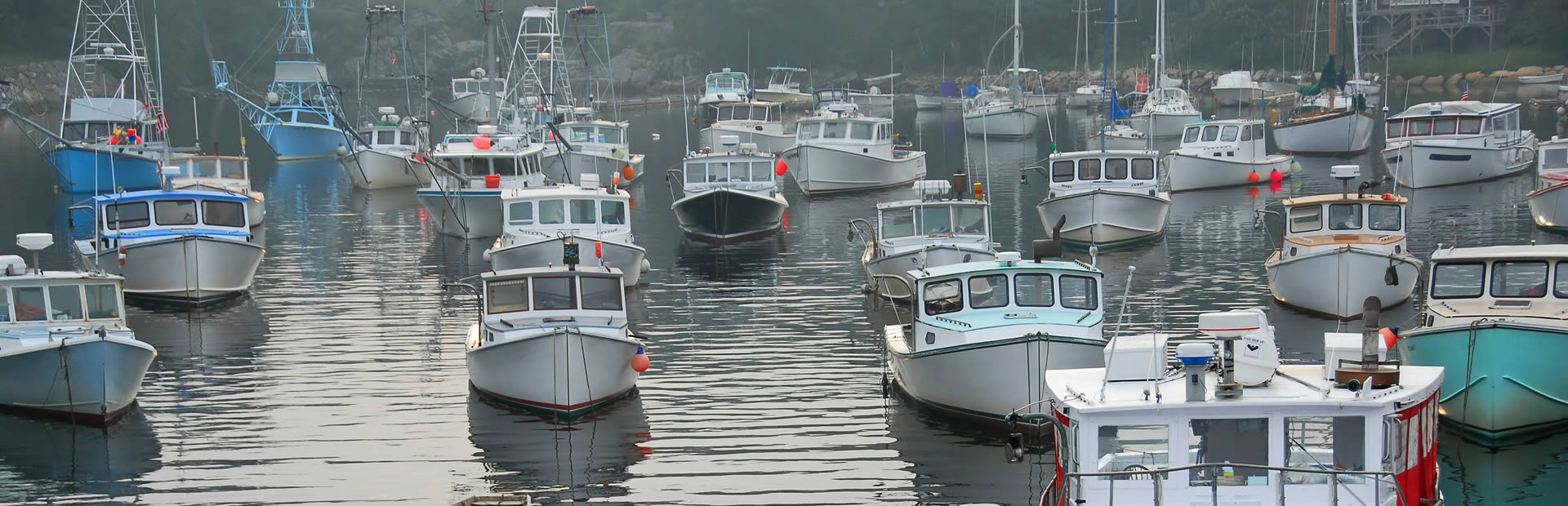 Maine Camping Locations | KOA Campgrounds